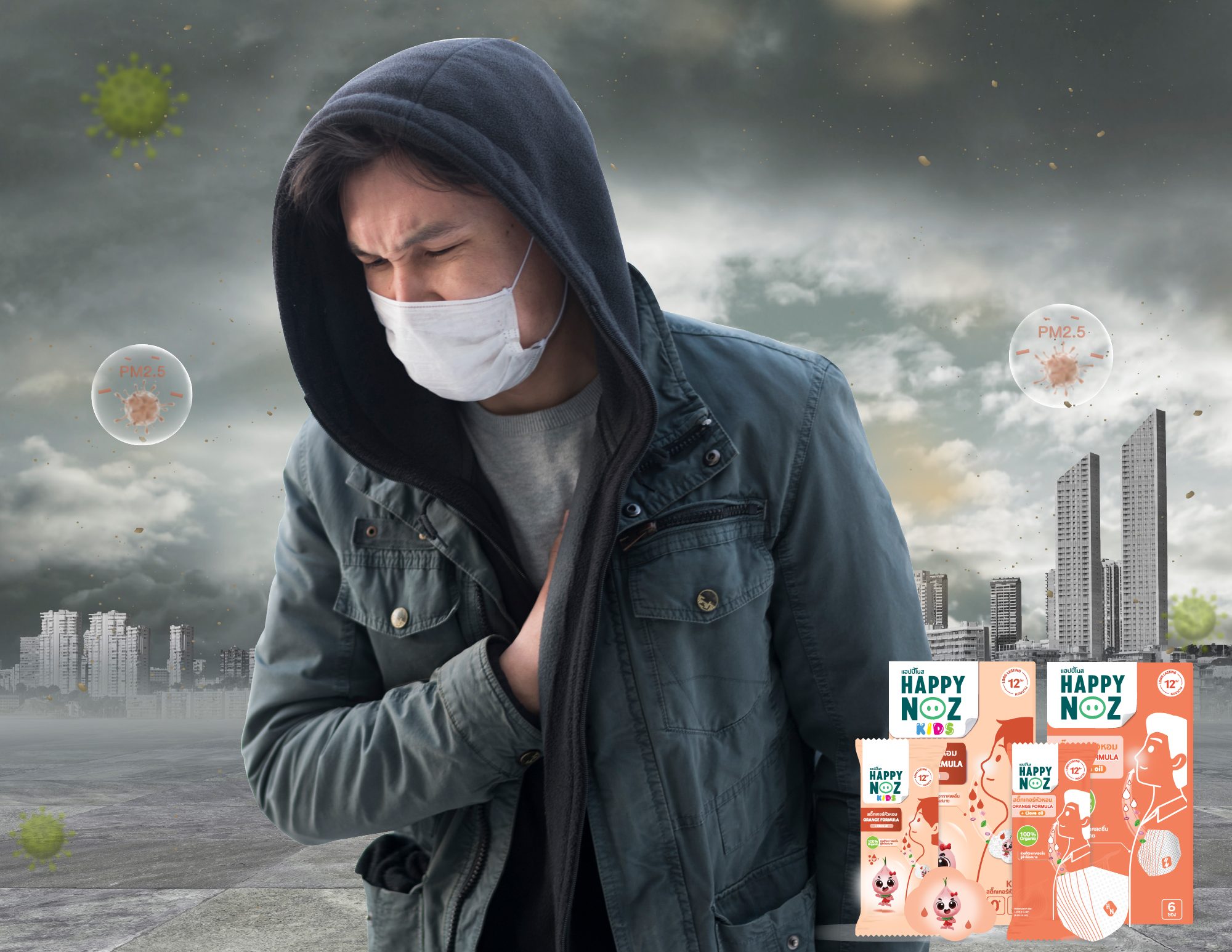 PM 2.5 Air pollution caused by environmental issues - สติ๊กเกอร์ หัวหอม ...